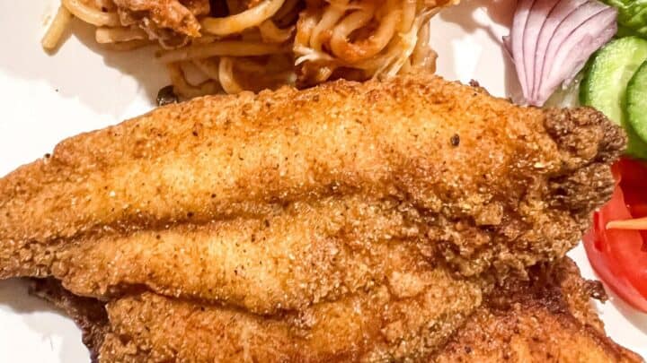 Catfish Fillet