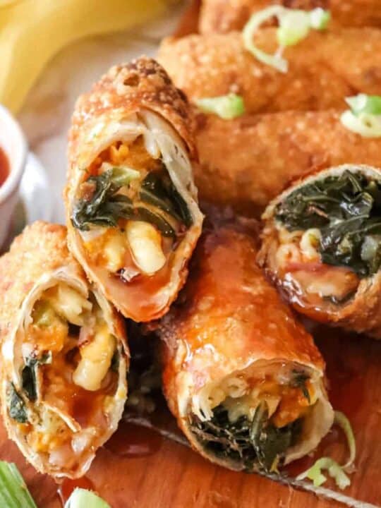 Birria Egg Rolls - Razzle Dazzle Life