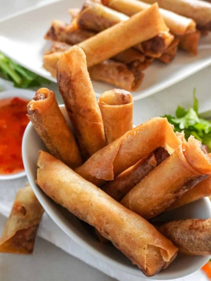 Birria Egg Rolls - Razzle Dazzle Life